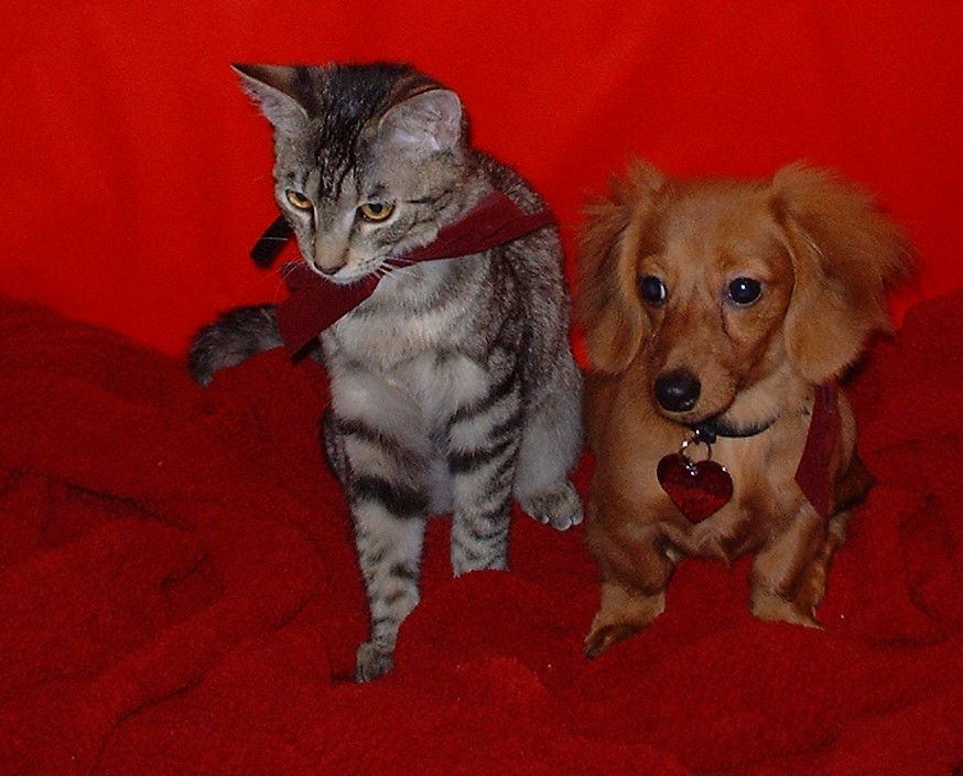 X-Chapter 3-6 (1980-2004) Ohio – FAMILY HISTORY – A Lifetime of Research